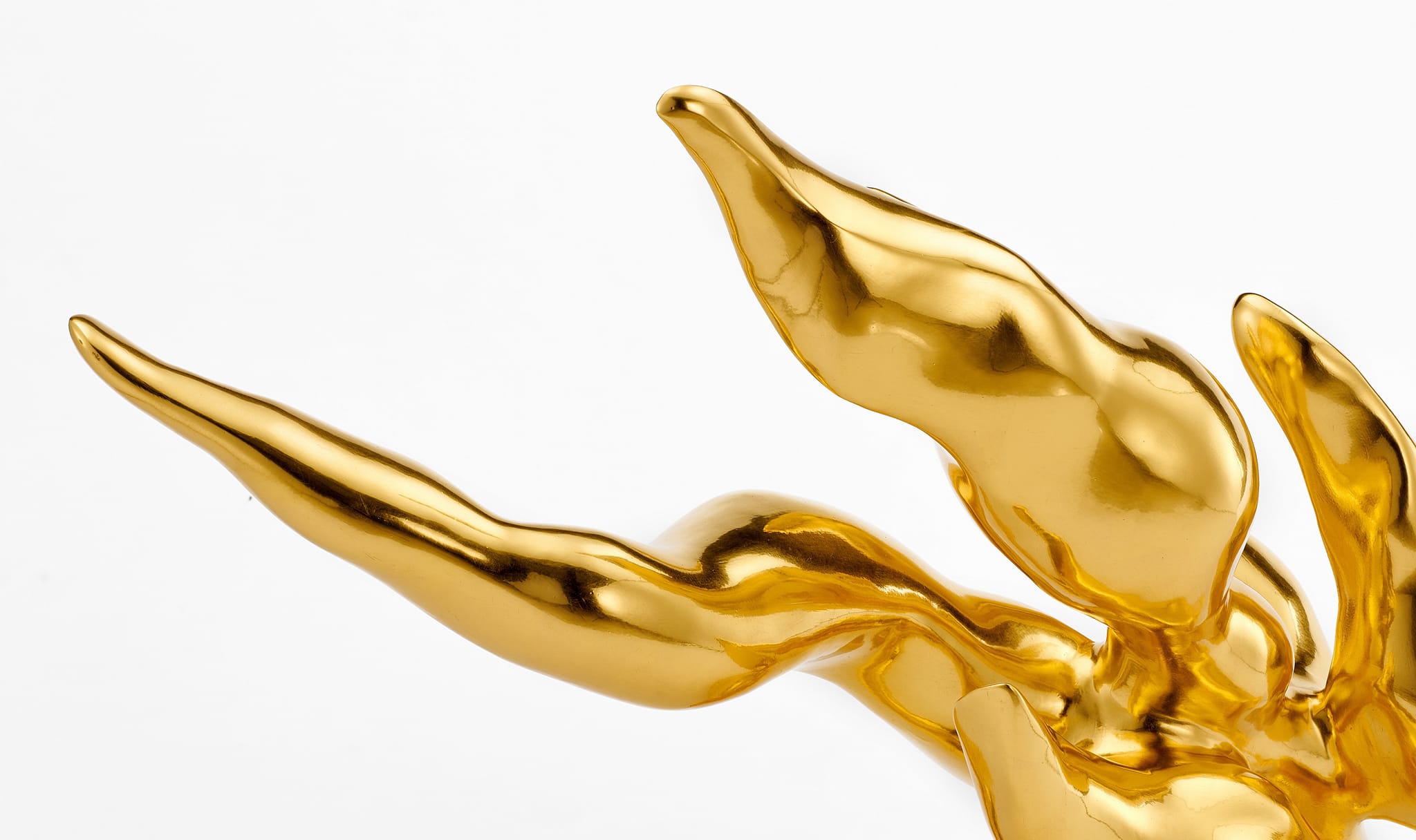 金色年華 Golden Age – Jason SHIH 施承澤 /藝術創作