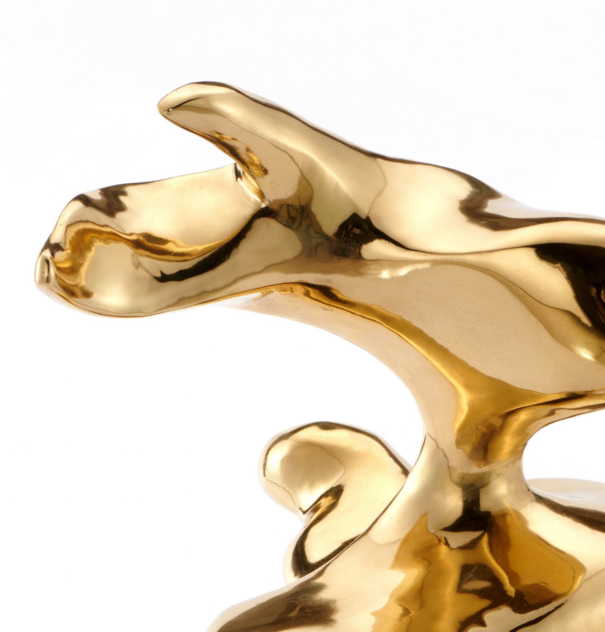 小金魚 Little Goldfish – Jason SHIH 施承澤 /藝術創作