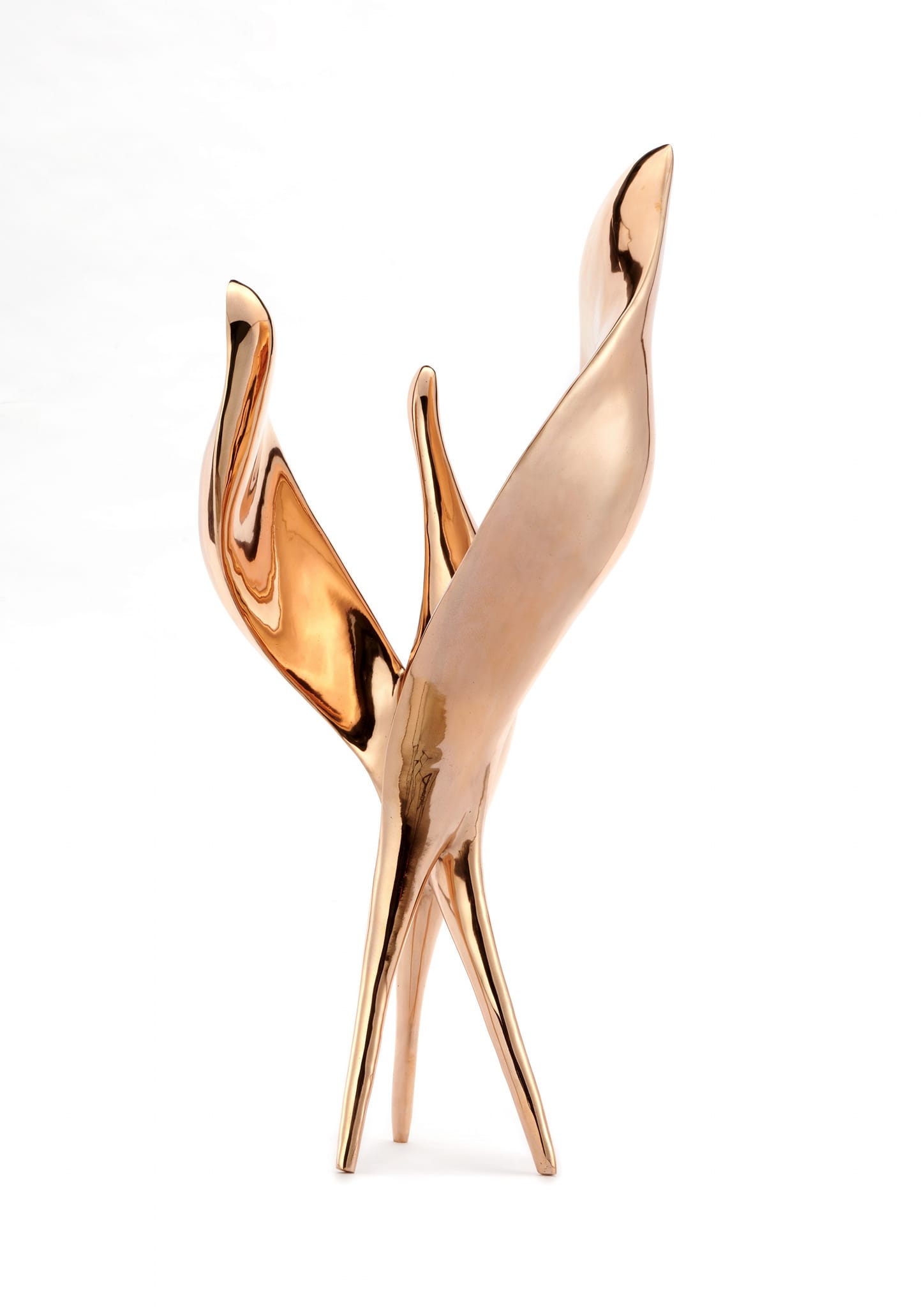 花舞 Dancing Flower – Jason SHIH 施承澤 /藝術創作